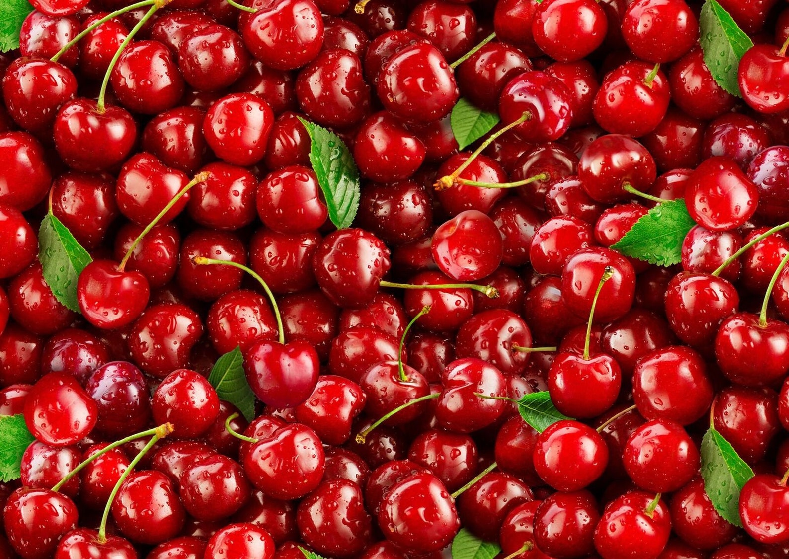 Red Cherries Digital Print Elizabeth's Studio Food | Etsy
