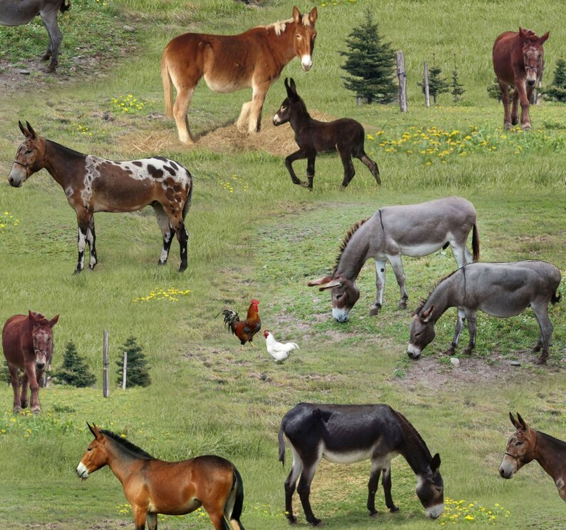 Green Donkey/mules Farm Animals From Elizabeth's Studio - Etsy