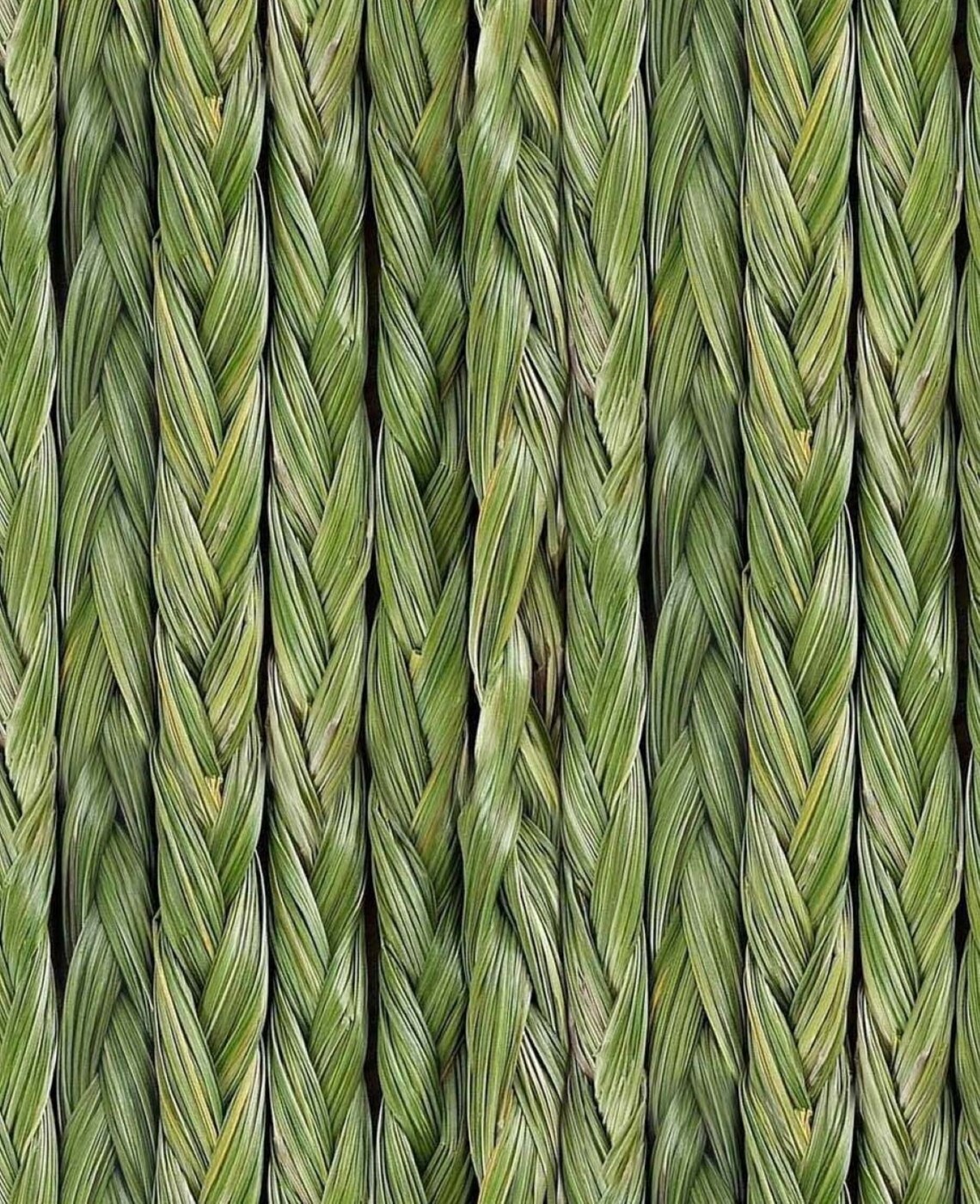 Sweetgrass Braids Fat Quarter Fabric, Landscape Medley Collection From ...