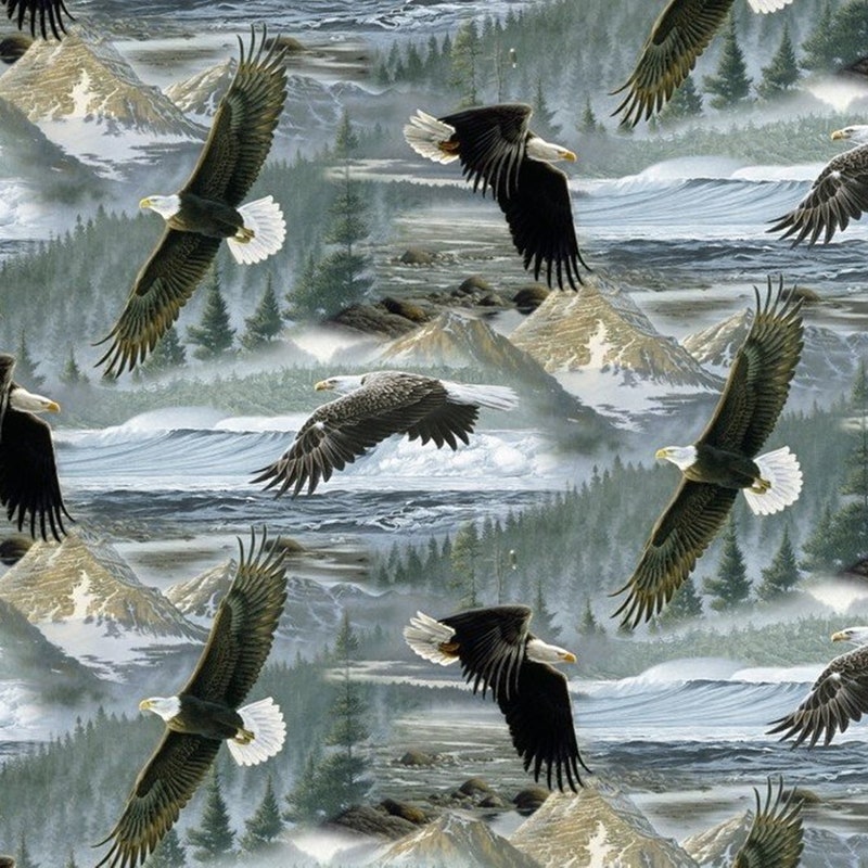 Soaring Eagle - Etsy