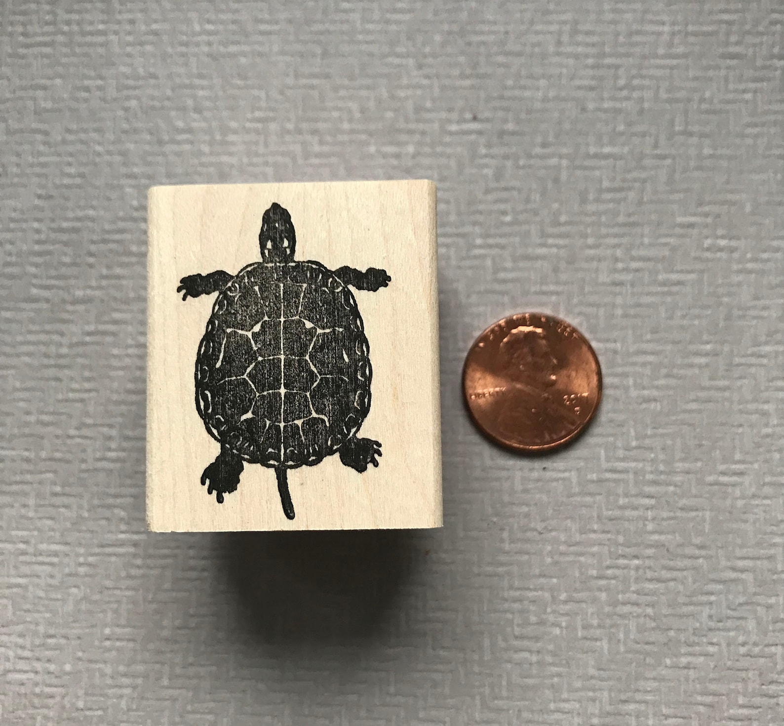 Turtle Rubber Stamp - Etsy