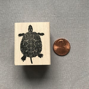 Turtle Rubber Stamp - Etsy