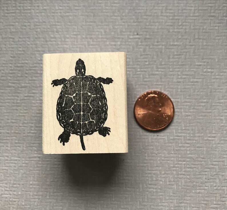 Turtle Rubber Stamp - Etsy