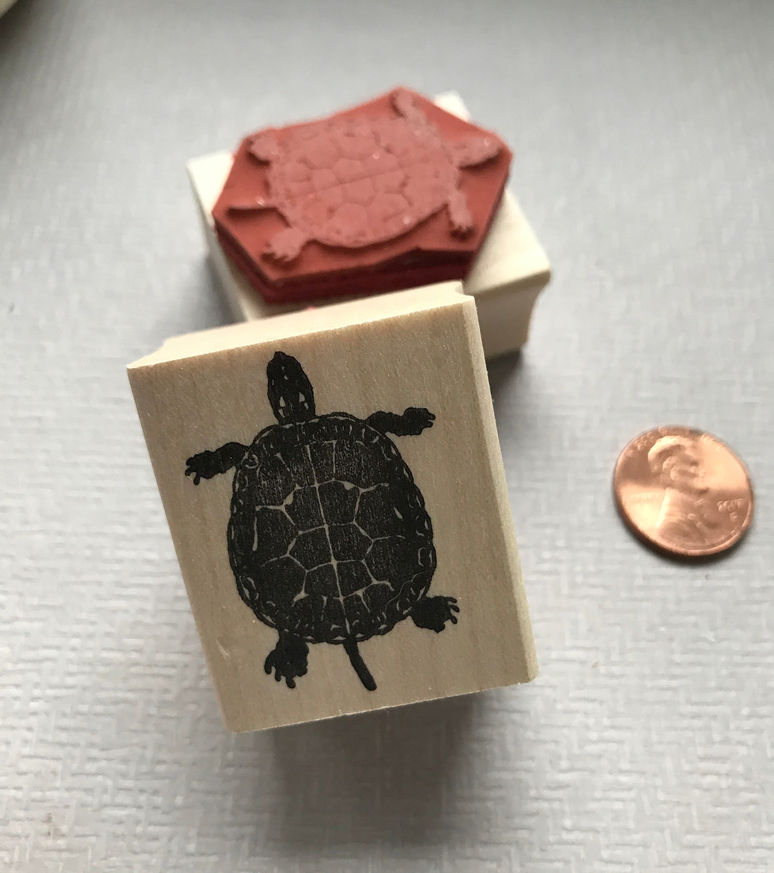 Turtle Rubber Stamp - Etsy