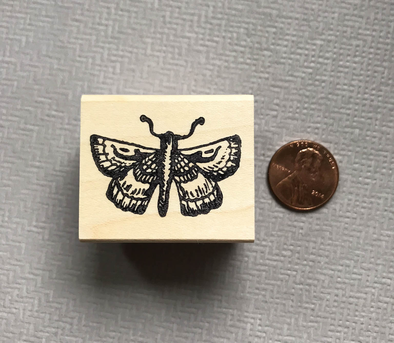 Moth Bee Fly Insect Bug Rubber Stamp Set | Etsy