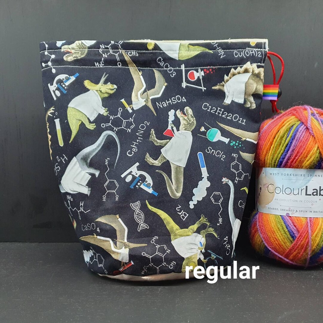 R/M/S/W/DPN Dinosaur Scientists Project Bag for Knitting/crochet/crafts ...