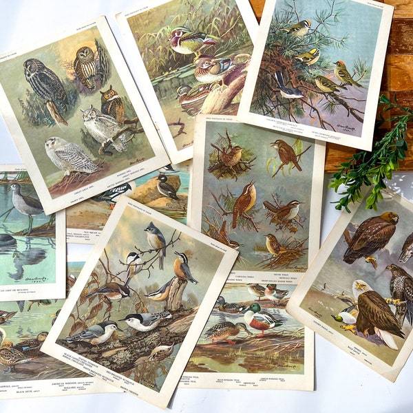 Vintage Book Plates - Etsy