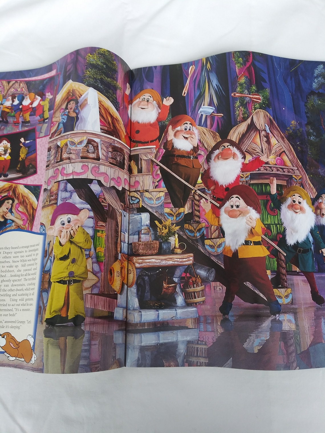 Vintage Book 1994 Walt Disney's World on Ice Snow White - Etsy