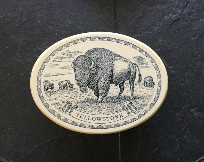 Wild Buffalo Scrimshaw Look Yellowstone Souvenir Trinket Box / Jewelry ...