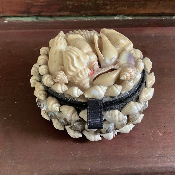 Seashell Jewelry Box - Etsy