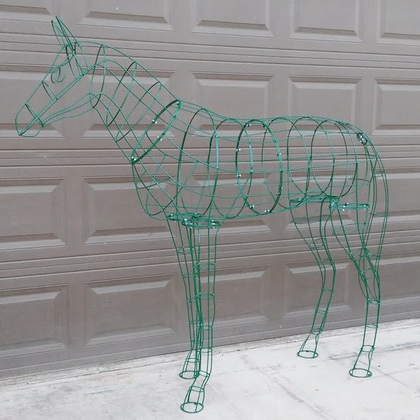 Topiary Frames - Etsy