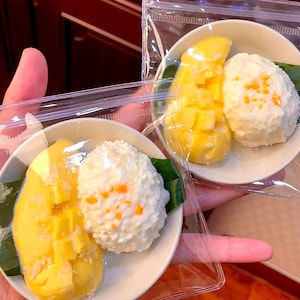 Realistic Mango Sticky Rice Taba Squishy Toy, Soft Stress Relief Toy ...