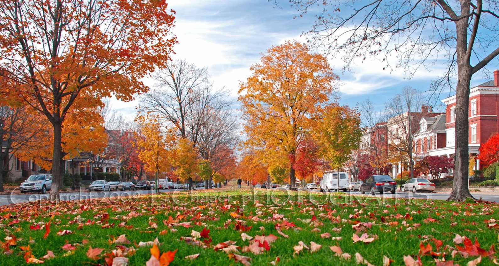 Fall on Monument Avenue, Richmond, Virginia - Etsy