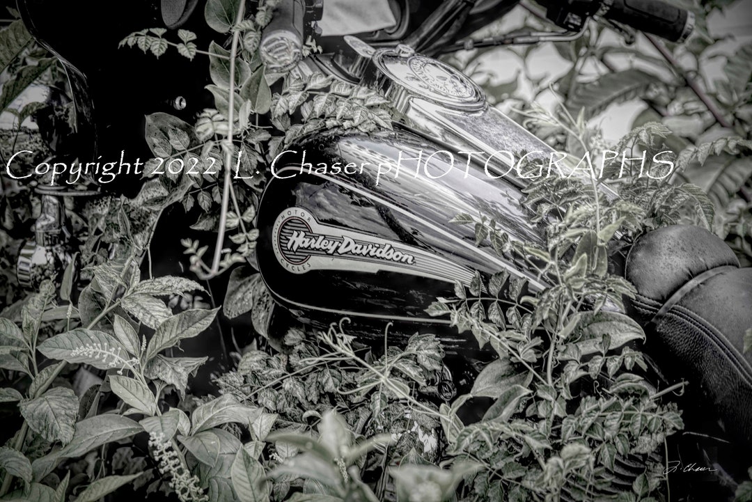 Harley Davidson - Etsy