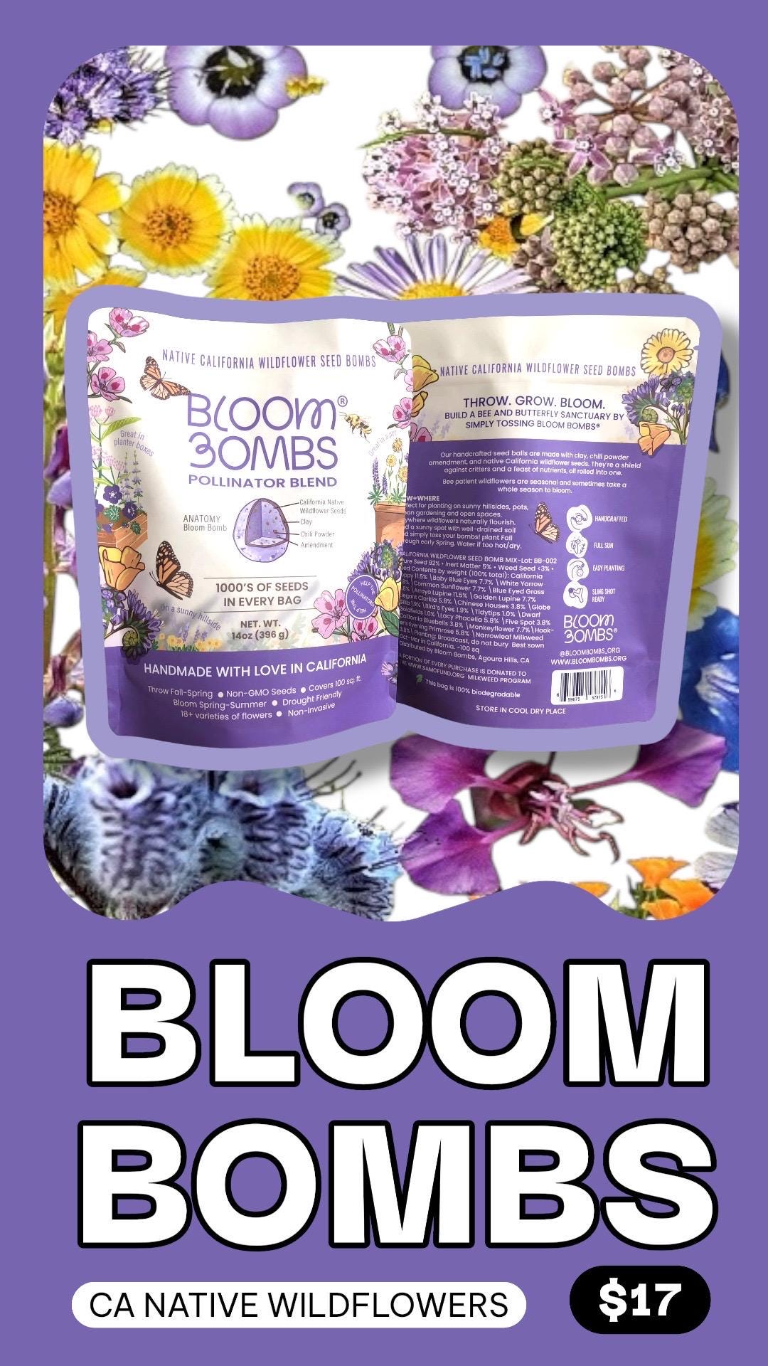 California Native Wildflower Seed Bombs-bloom Bombs - Etsy