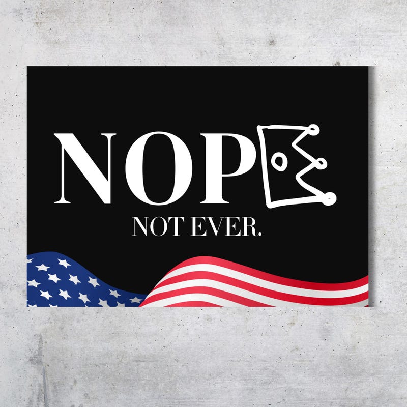 Democracy Protest Sign - Etsy