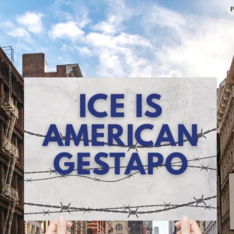 Ice Protest Sign - Etsy