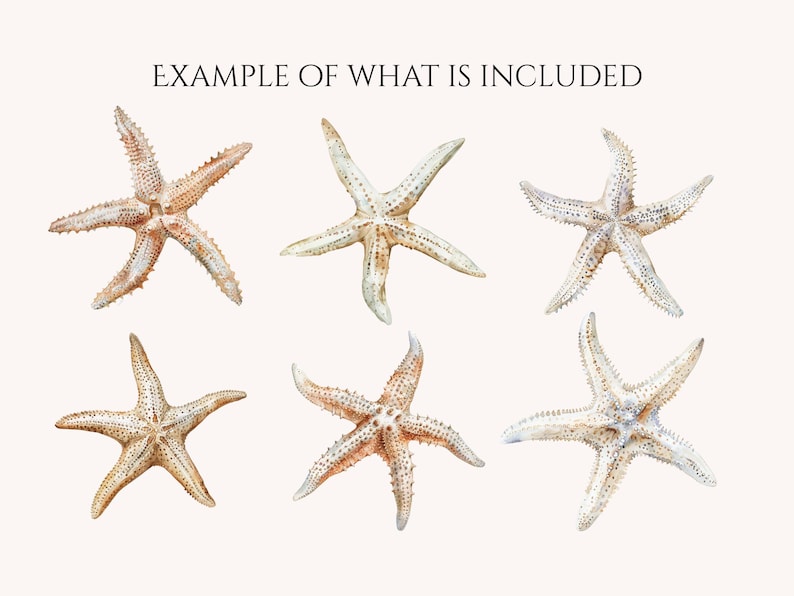 Watercolor Starfish Clipart Bundle, Coastal Sea Star Graphics (digital ...