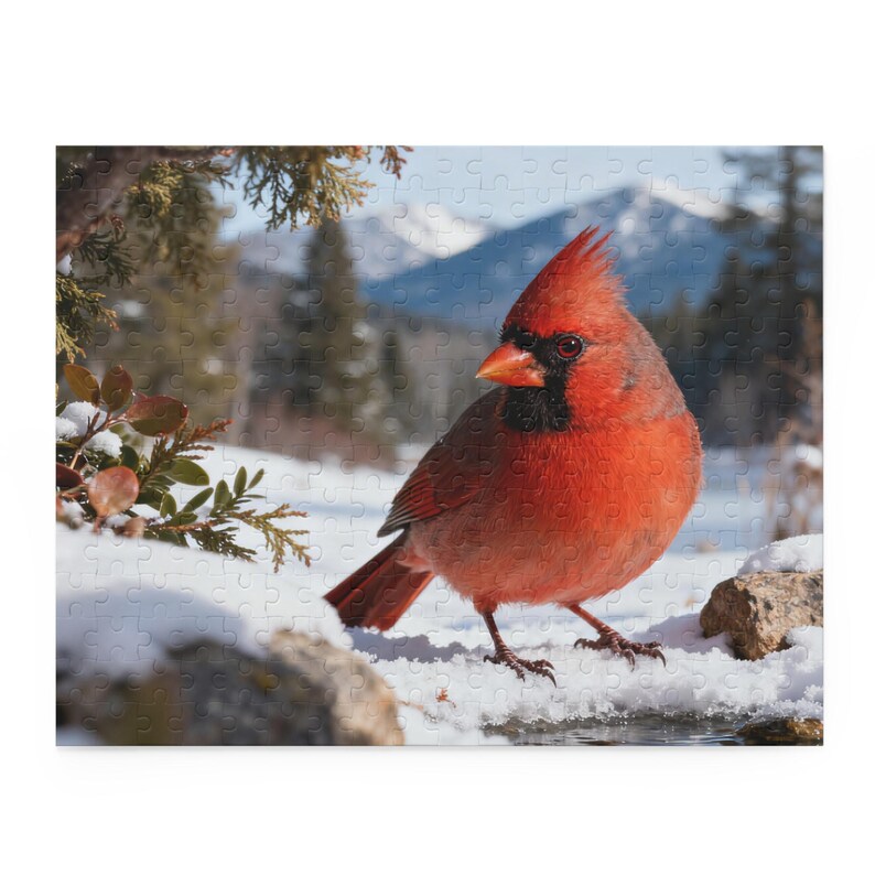 Male Northern Cardinal Puzzle 500 Piece | Red Bird Winter Wildlife ...