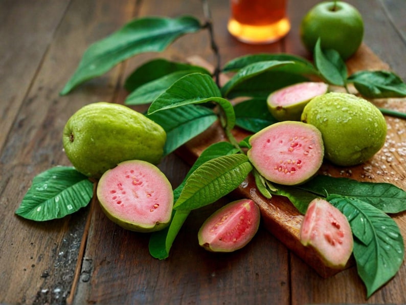 Barbie Pink Guava Starter Plant | Psidium Guajava Live Fruit Plant ...