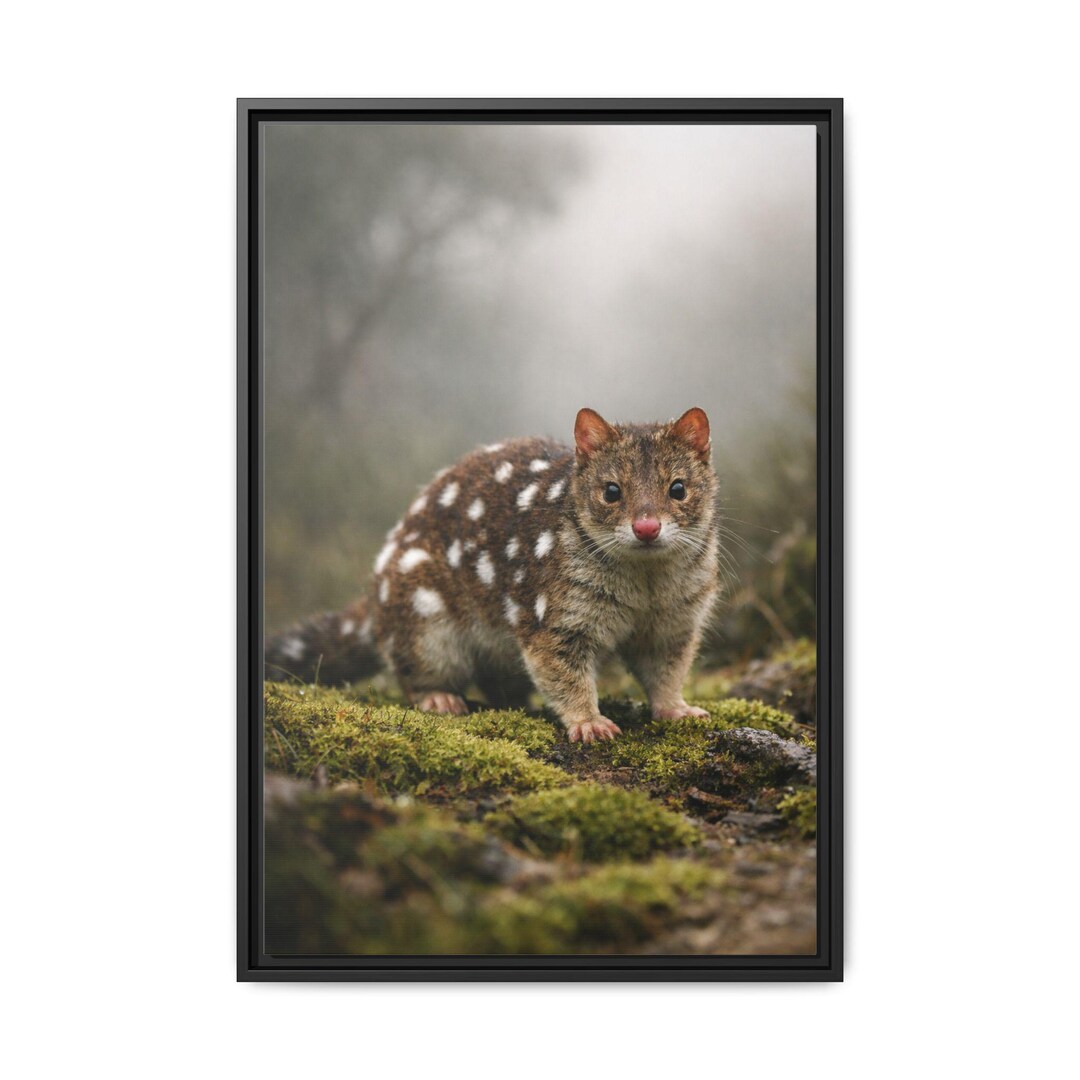 Spotted Quoll Wall Art Matte Canvas Framed | Wildlife Animal ...