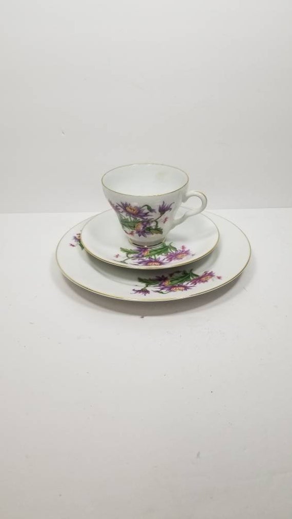 Vintage Teacup Set Aster September Birthday Teacup Saucer - Etsy