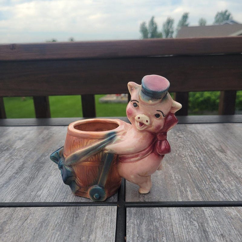 Pig Planter - Etsy