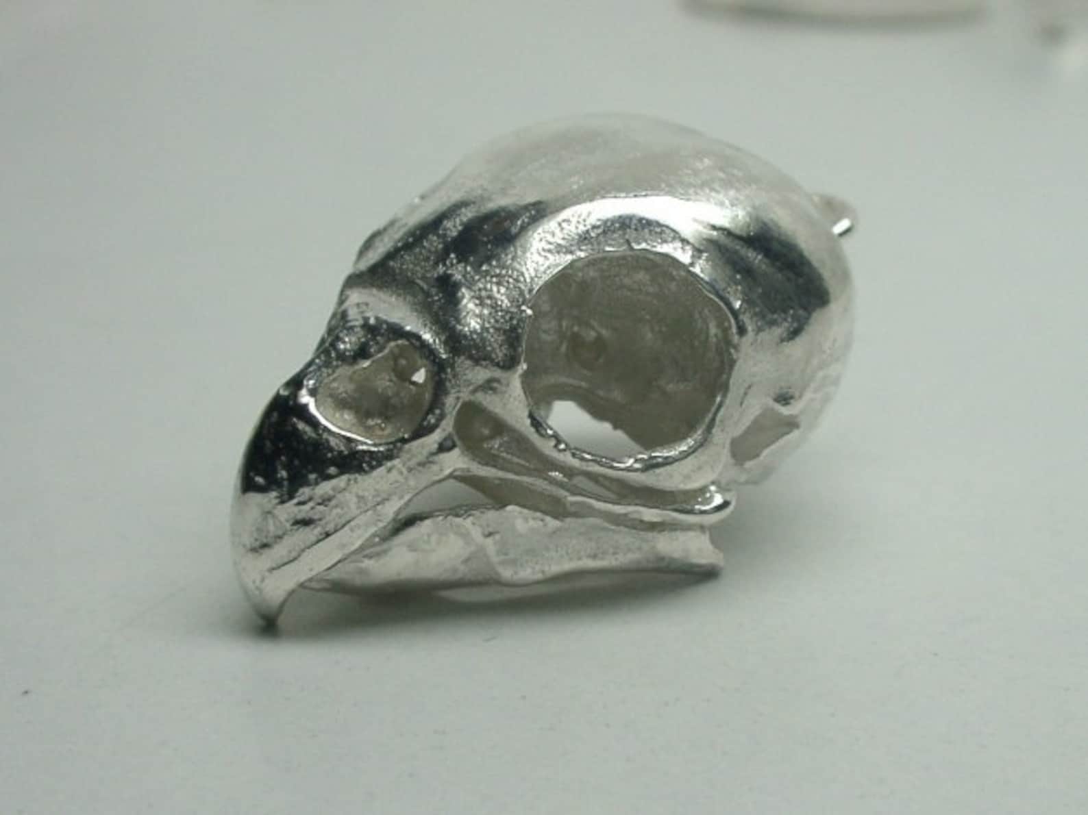 Parakeet Skull Life Size Sterling Silver | Etsy