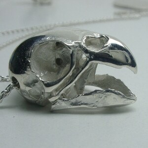 Parakeet Skull Life Size Moving Jaw Sterling Silver | Etsy