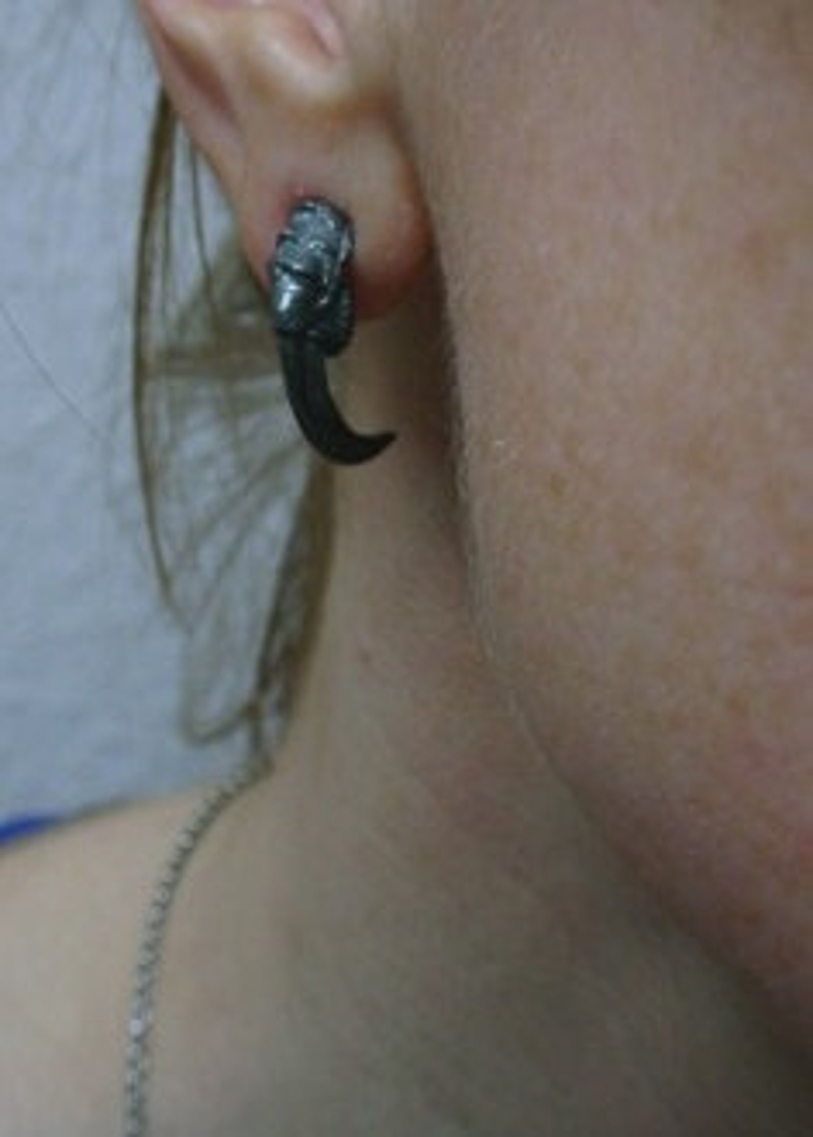 Raven Talon Ear Studs Silver | Etsy