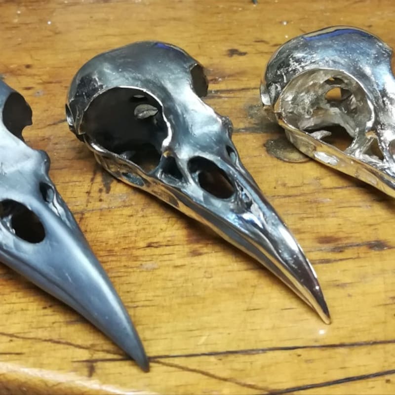 Raven Skull - Etsy