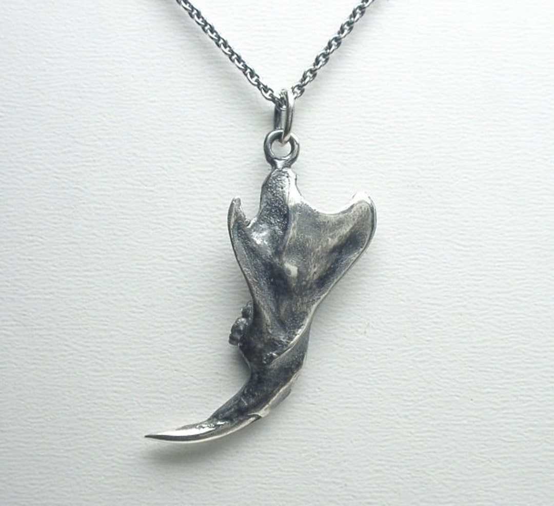 Rat Jaw Bone Necklace, Sterling Silver - Etsy