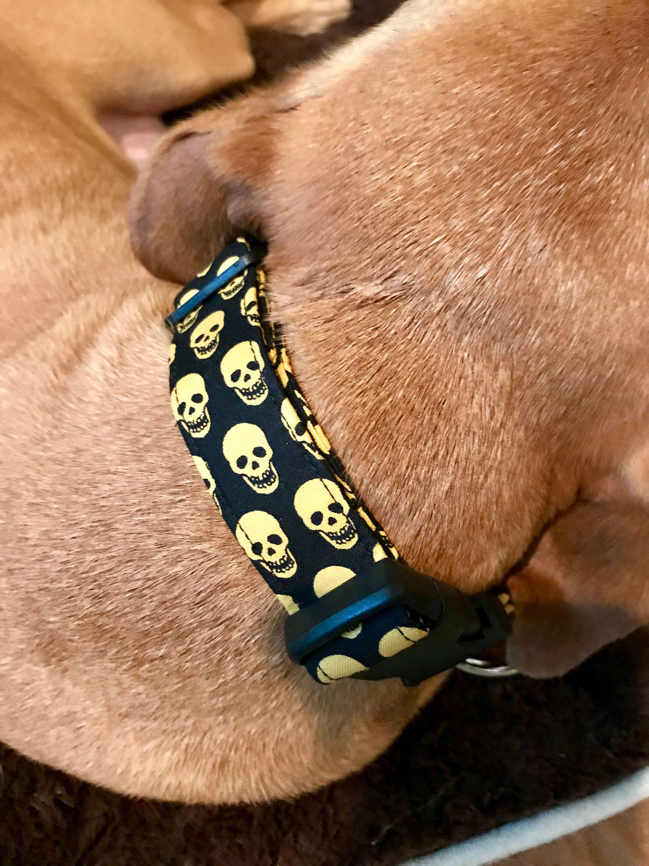 Black and Gold Skeleton Collar - Etsy