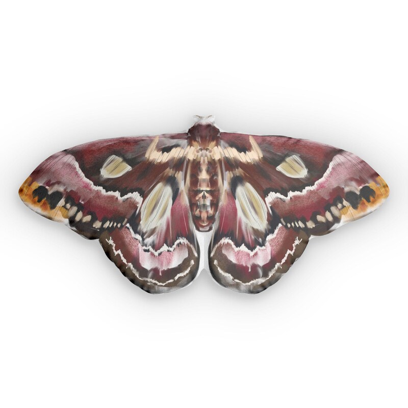 Moth Plush - Etsy