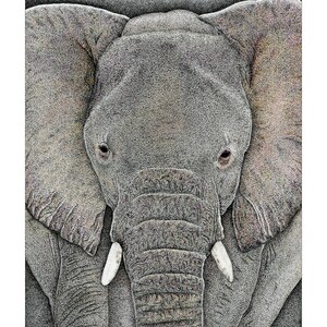 Elephant Facial Portrait - Etsy