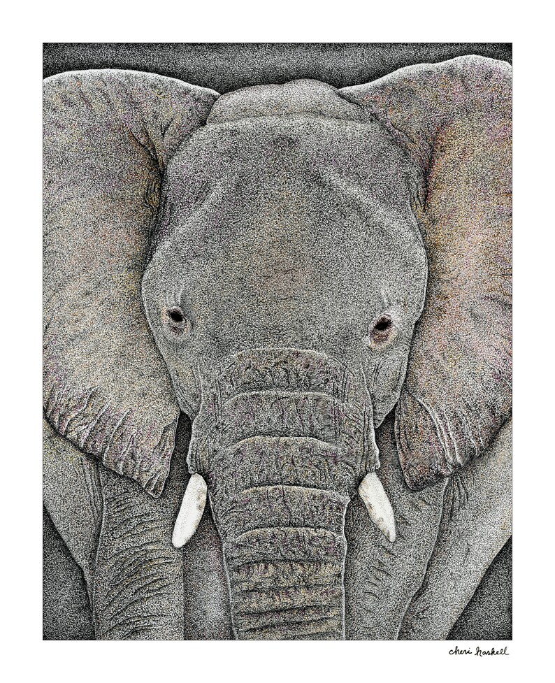 Elephant Facial Portrait - Etsy
