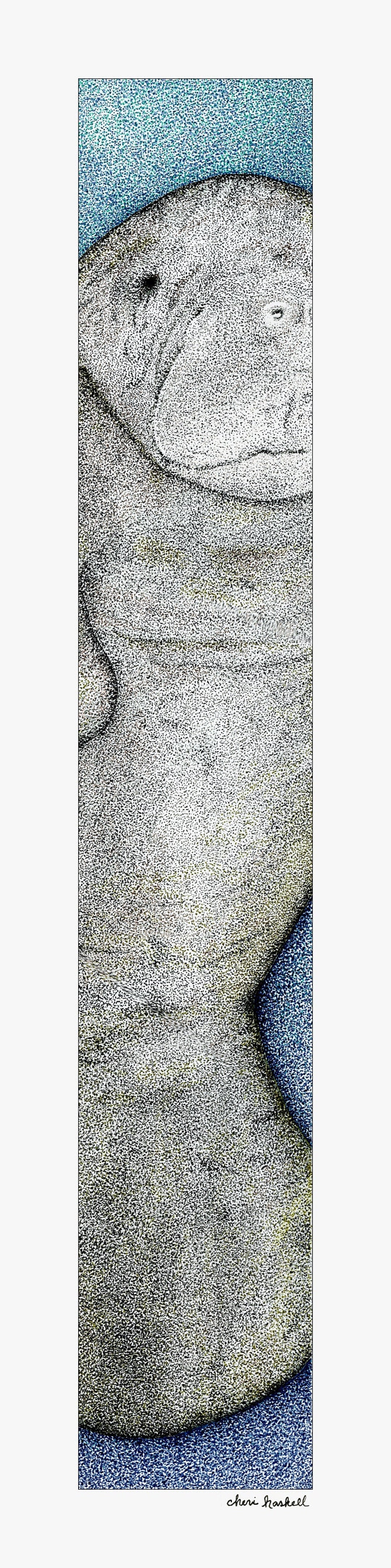 Manatee Blue - Etsy