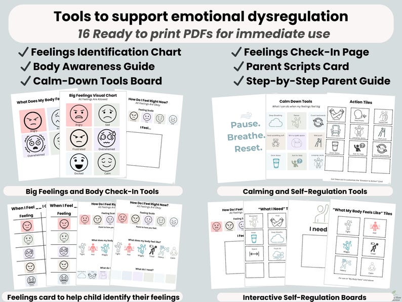 Emotional Regulation Toolkit for Kids | Calm Down System Printable ...