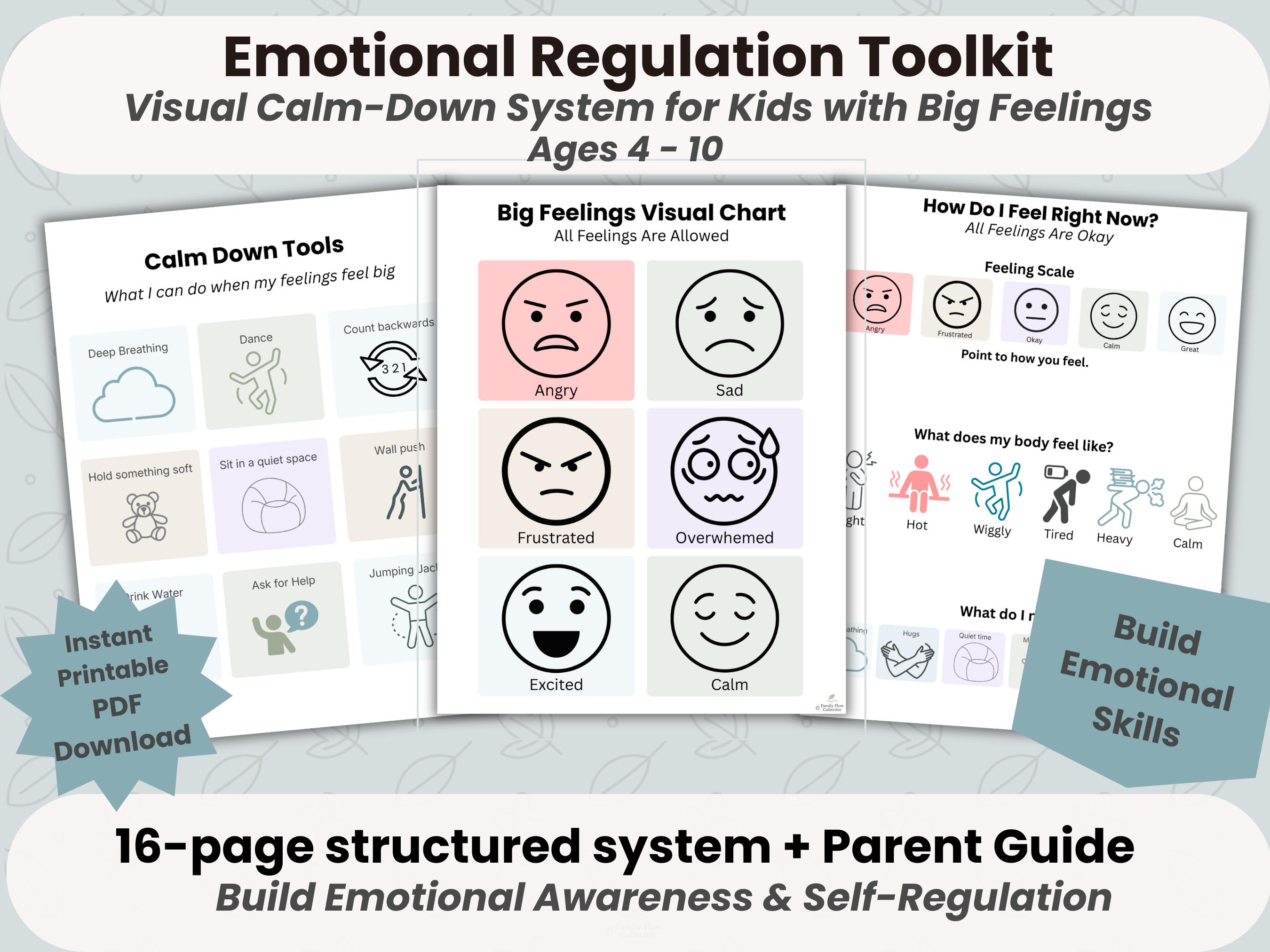Emotional Regulation Toolkit for Kids | Calm Down System Printable ...