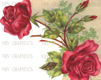 Rose Swag Clipart - Etsy