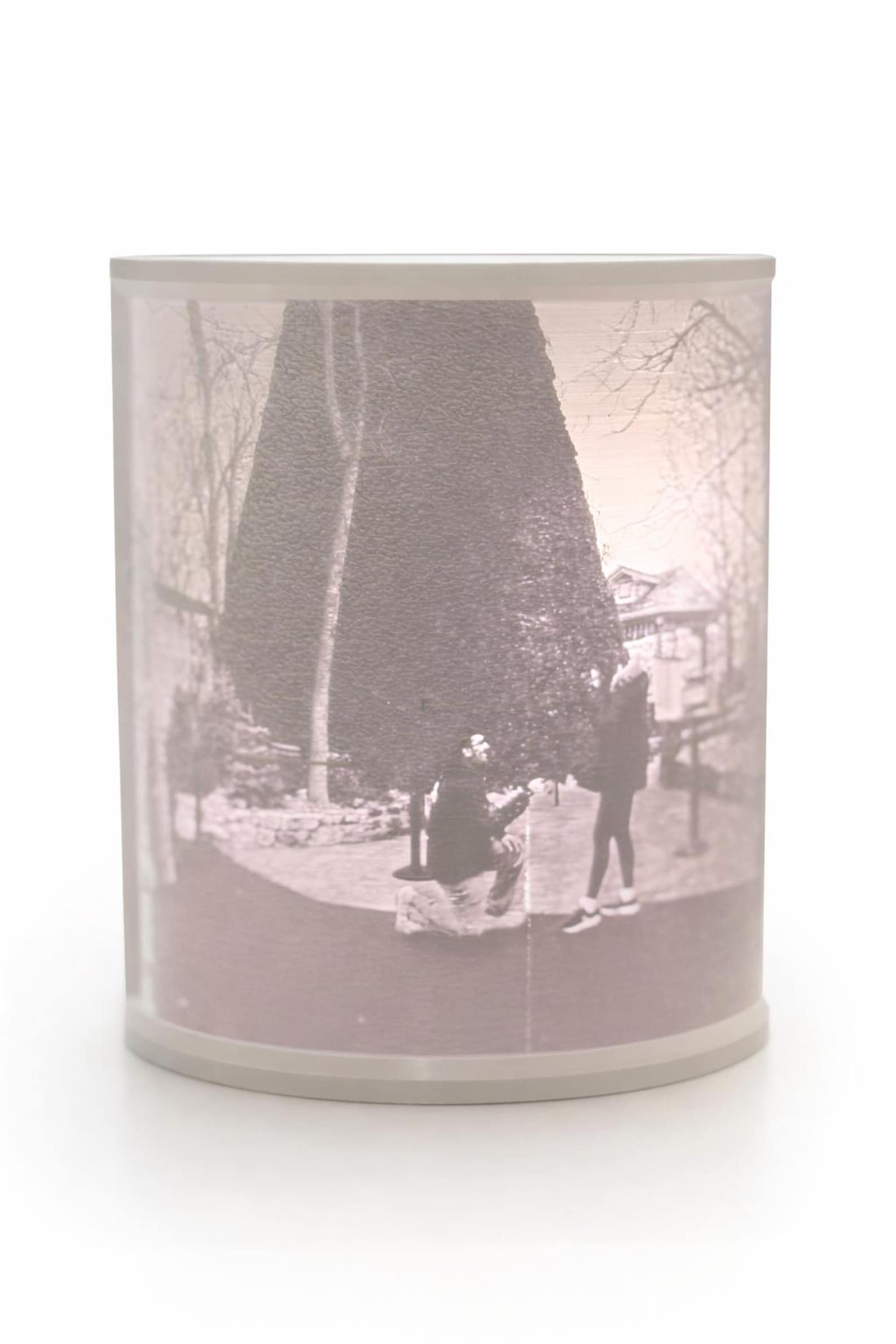 3D Printed Curved Lithophane - Etsy