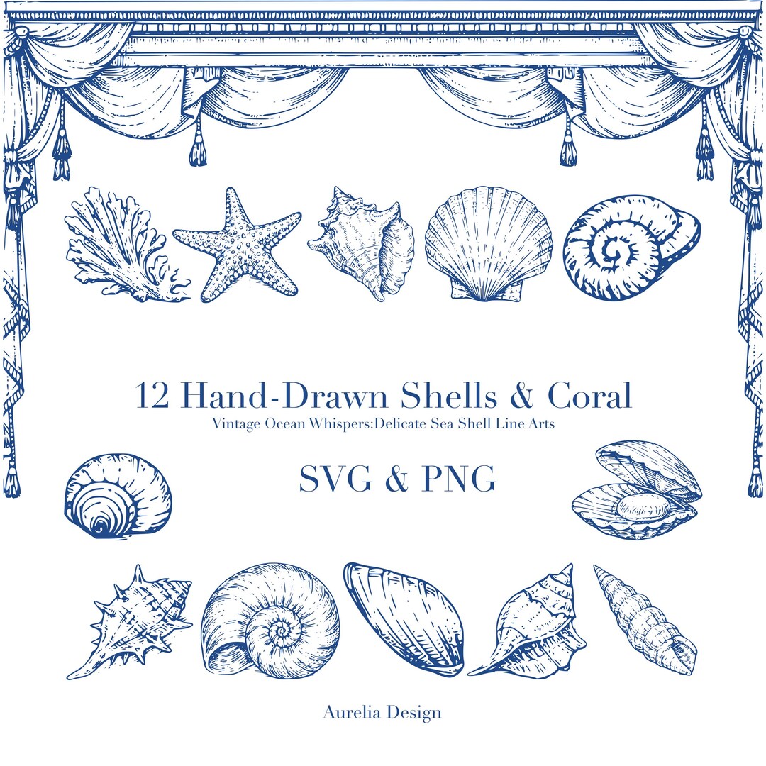 12 Hand-drawn Shells & Coral - Etsy