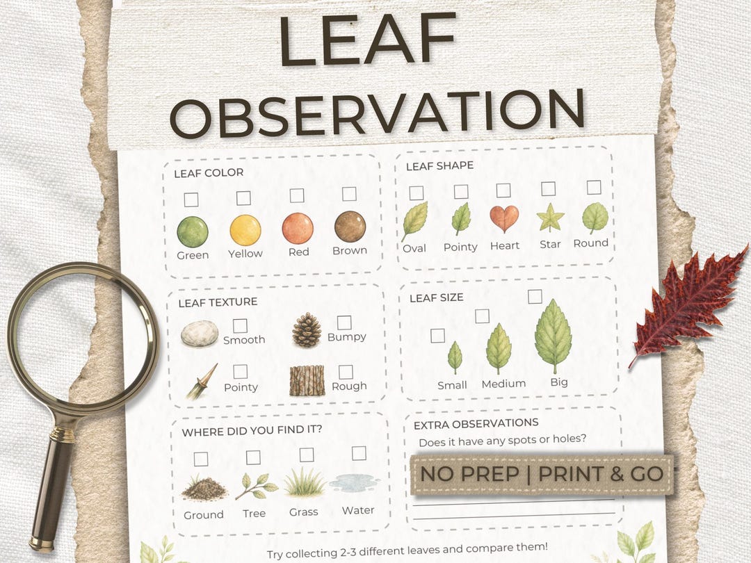 Leaf Observation Activity for Kids Ages 3-6 | Montessori Nature Study ...
