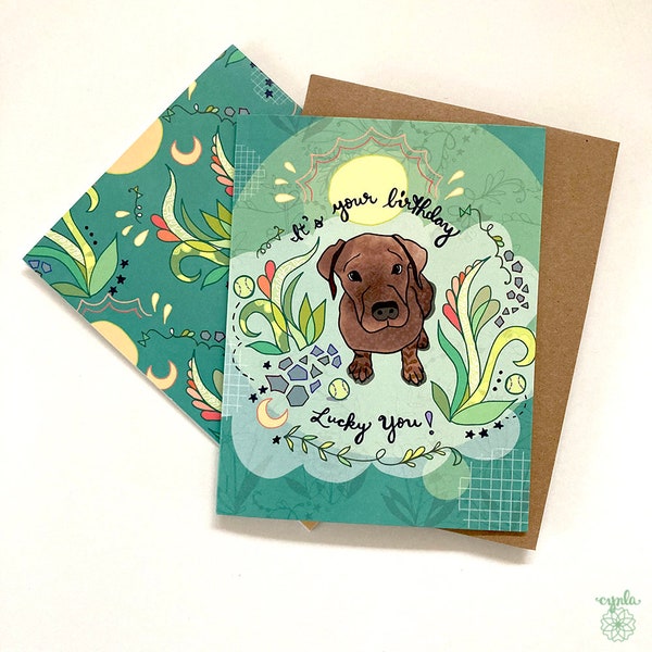 Chocolate Lab Birthday Cards - Etsy