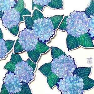 Hydrangea Sticker - Flower Pretty Stickers 3-3.5 Inch Vinyl Stickers ...
