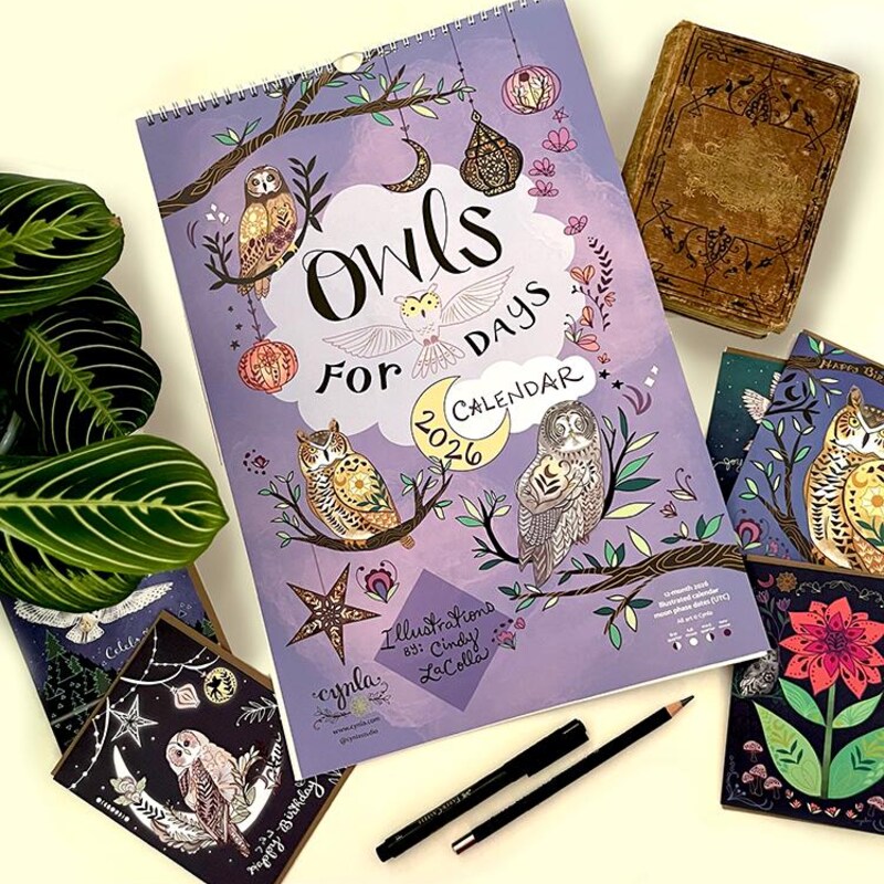 Owls 2026 Calendar - Etsy