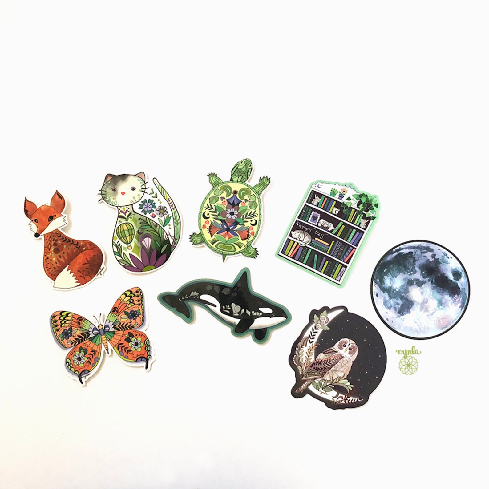 Turtle Sticker Box Turtles Turtle Stickers Turtle Lover | Etsy