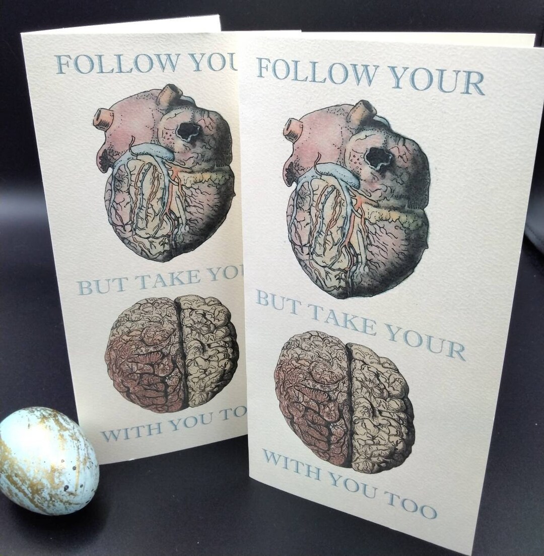 Human Anatomy Card, Heart Anatomy, Unusual Heart Card, Anatomical Heart ...