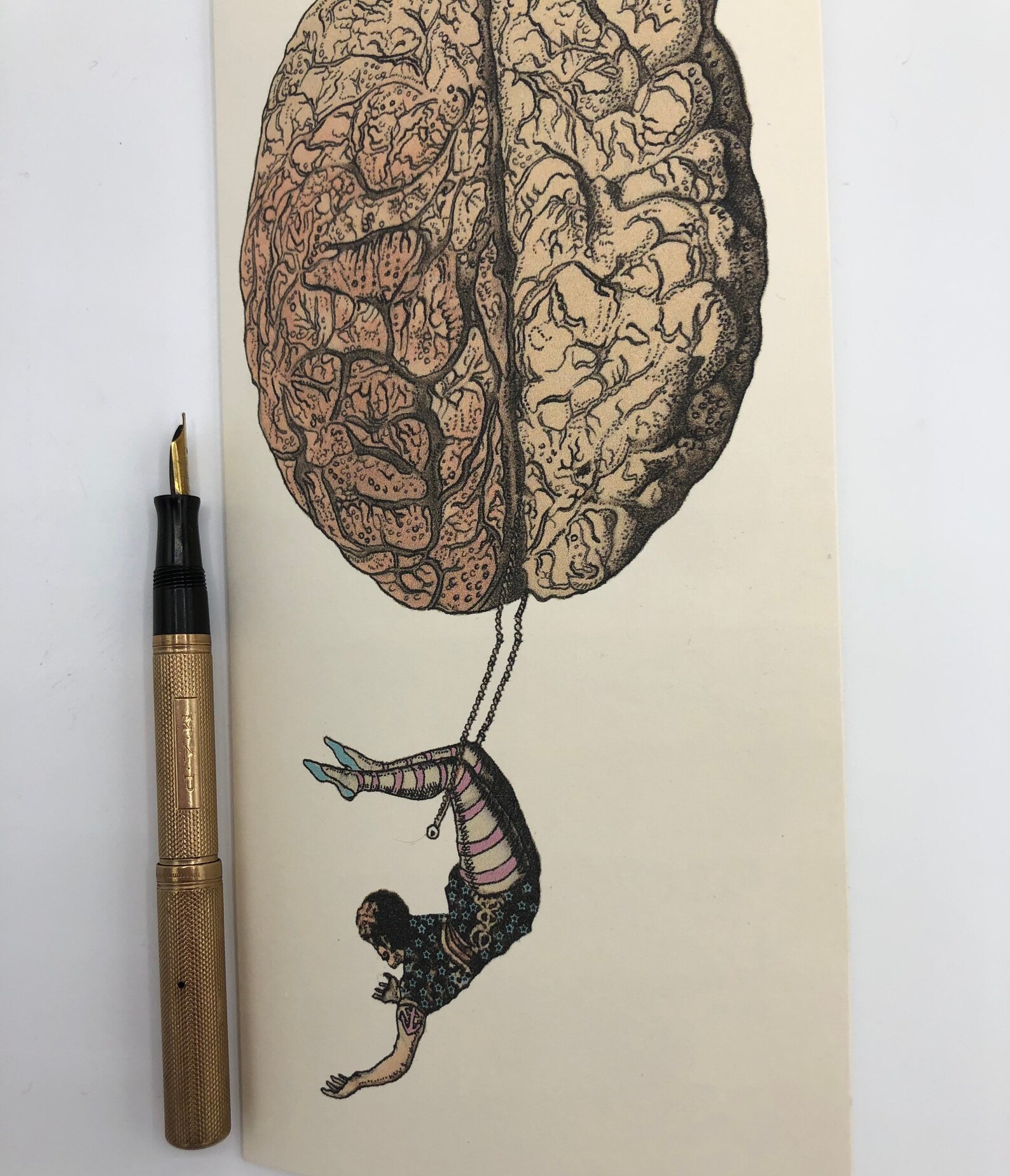 Anatomy Card, Human Anatomy, Brain Card, Circus Trapeze Card ...