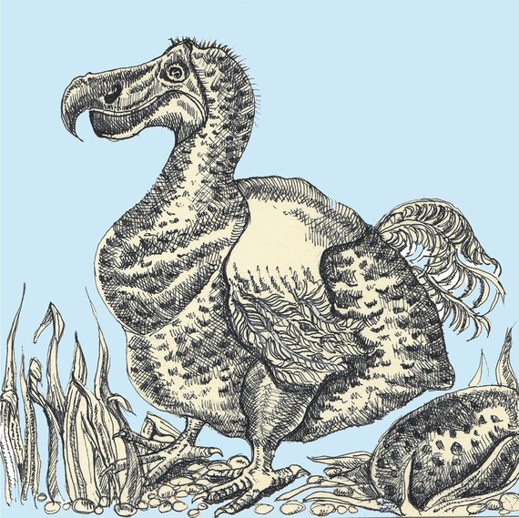 Dodo Greeting Card Dodo Illustration Dodo Birthday Card | Etsy